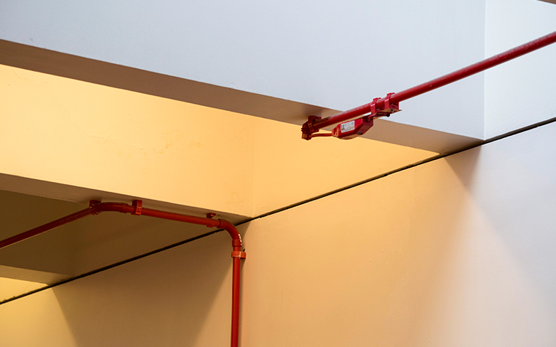 Scorpion success in Germany - Detector Testers